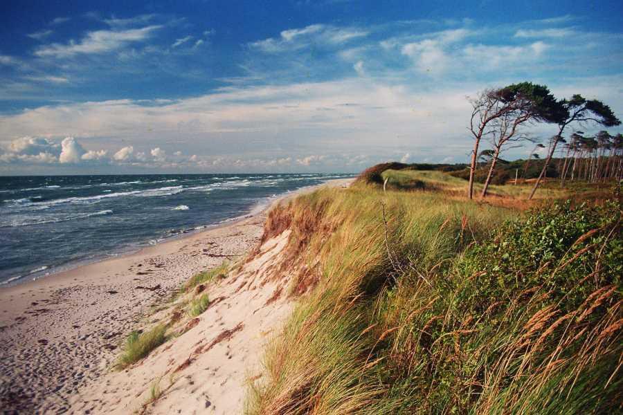 Ostseebad Prerow / Seebäder / Kur- und Erholungsorte : Bäderverband M-V ...