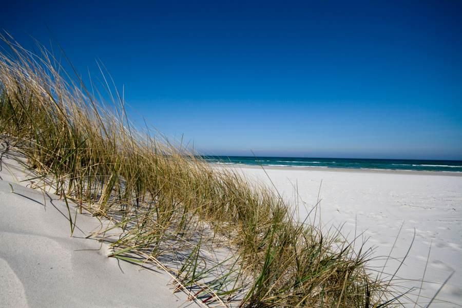 Prerow / Seaside resorts / Spa and health resorts : Bäderverband M-V ...